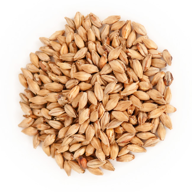 Cerveza, Whisky, Vino e Hidromiel | Nirobeer